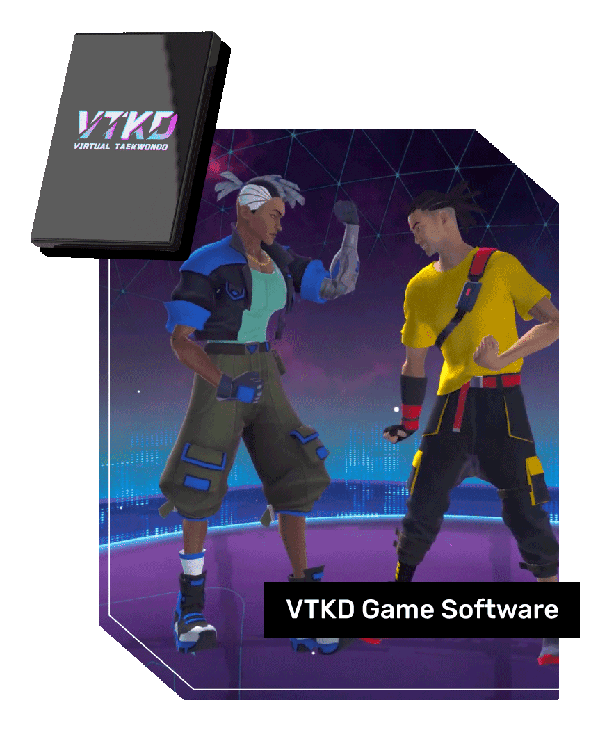 Virtual Taekwondo